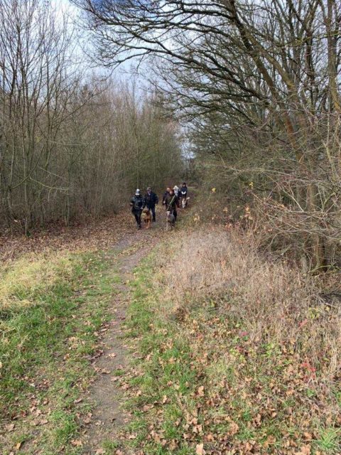 Jagdhunde in Not e.V. | powered by BACHMANN.MEDIA