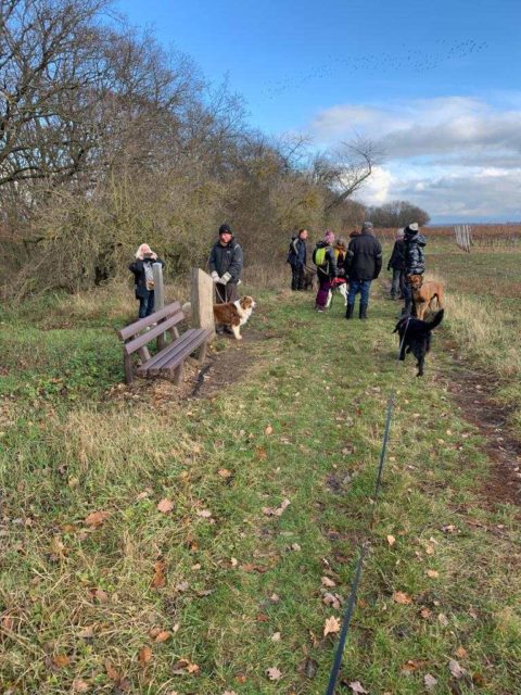 Jagdhunde in Not e.V. | powered by BACHMANN.MEDIA