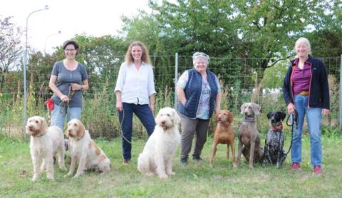 Jagdhunde in Not e.V. | powered by BACHMANN.MEDIA